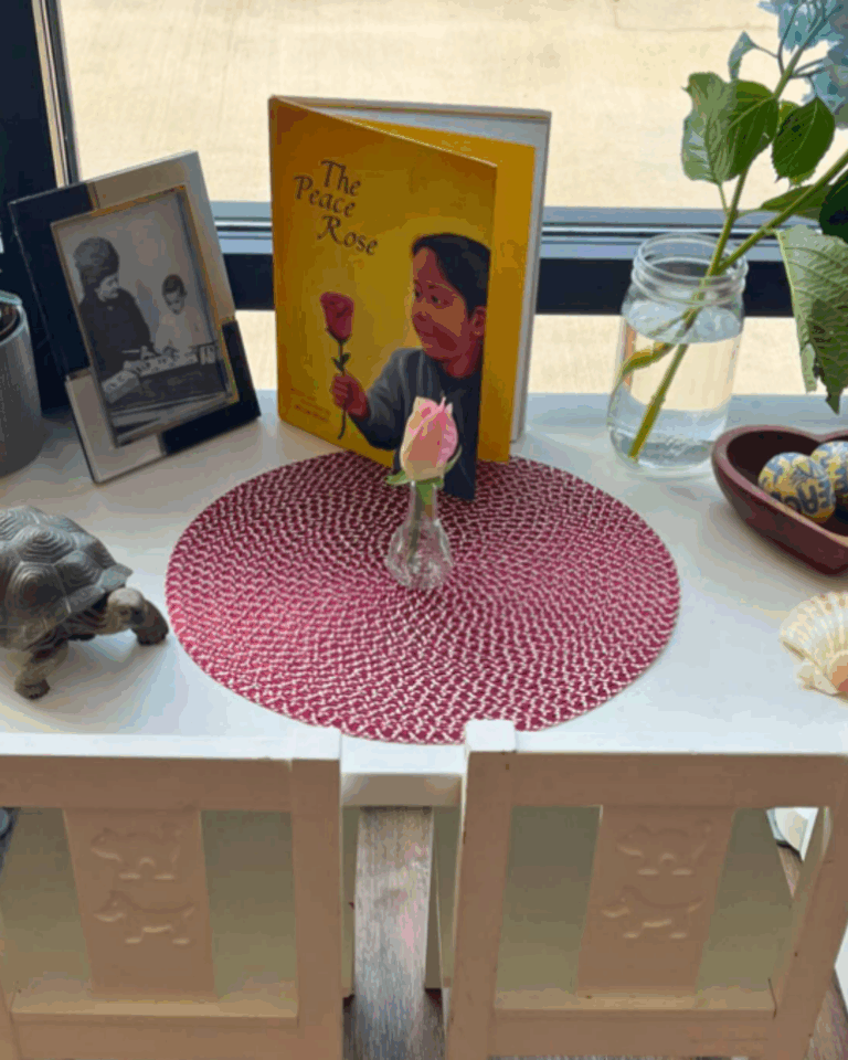 Montessori Peace Corners: Supporting Emotional Self-Regulation